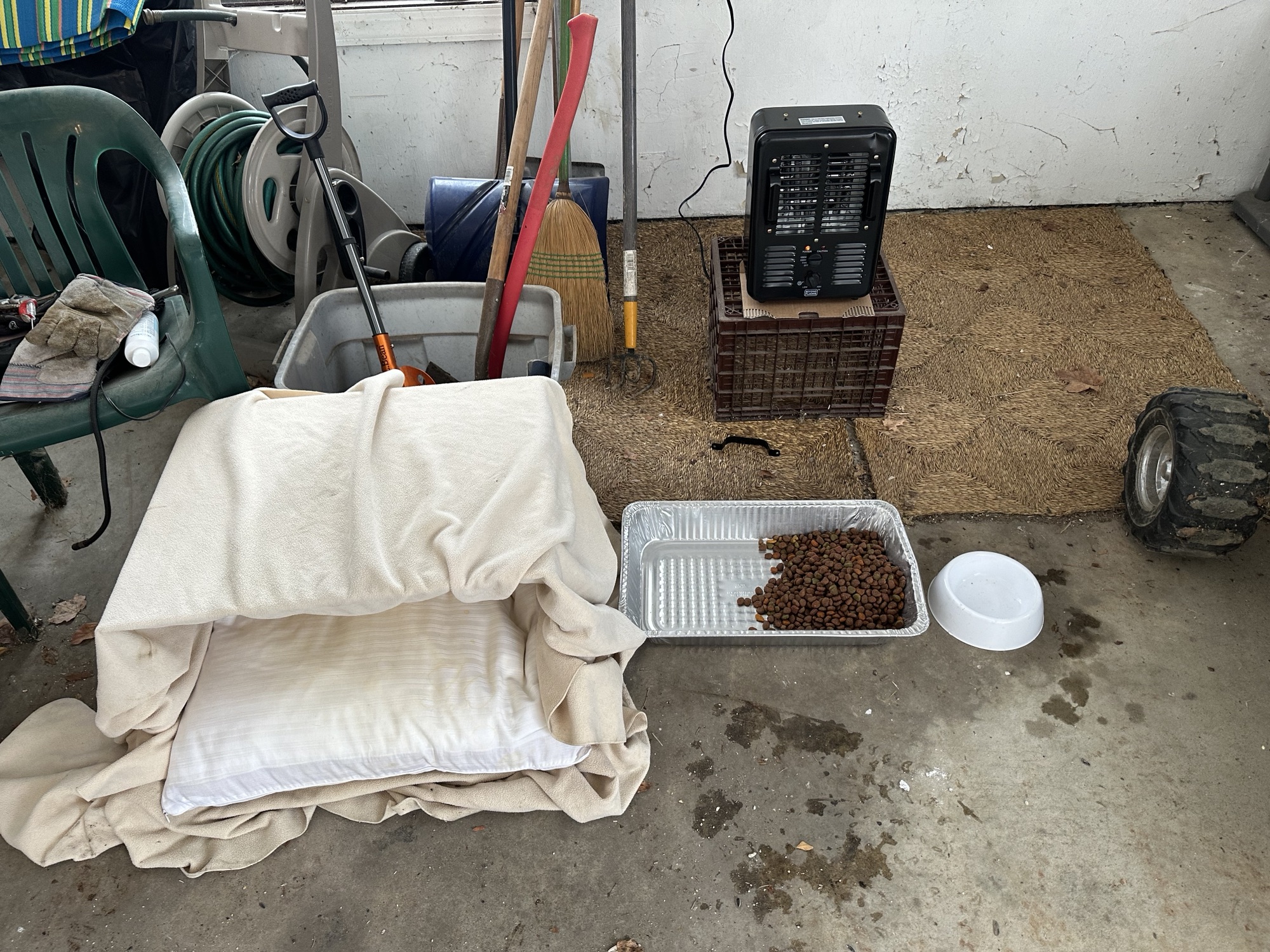 A Neighborhood and a Dog – Alexandra Slater